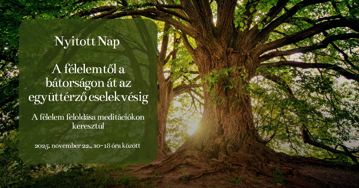 Programajánló beszélgetés Tóth Andrea Beátával - Adásban a Tan, Buddha FM